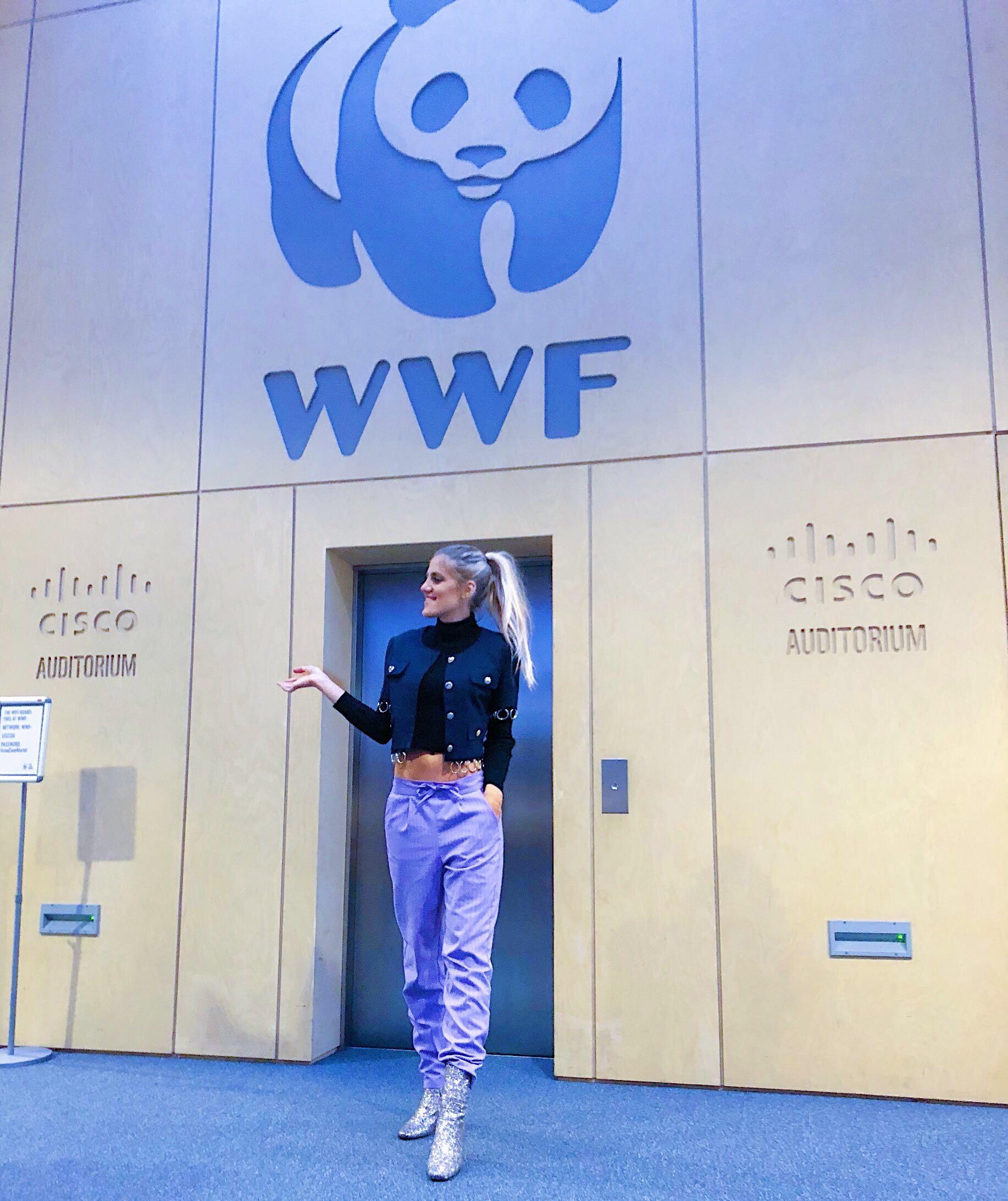 What Can You Do To Help Our Planet? - WWF UK Head Office Tour – Sophie ...